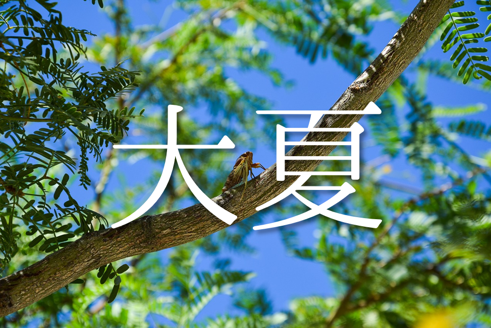 【大暑・立夏・夏至・小満・小暑・芒種を使った俳句】有名句&おすすめ俳句作品を紹介! 俳句の教科書|俳句の作り方・有名俳句の解説サイト