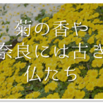【松尾芭蕉の有名俳句 29選】知っておきたい!!俳句の特徴や人物像･代表作など徹底解説！